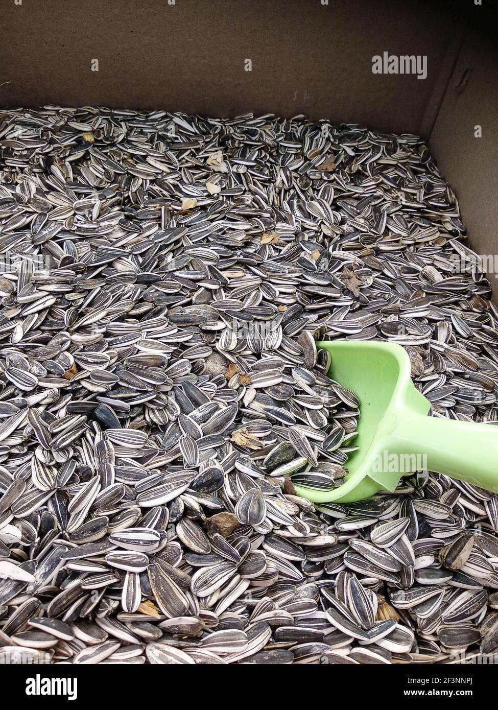 Sunflower seeds with a plastic scoop in a box. Close up Stock Photo - Alamy