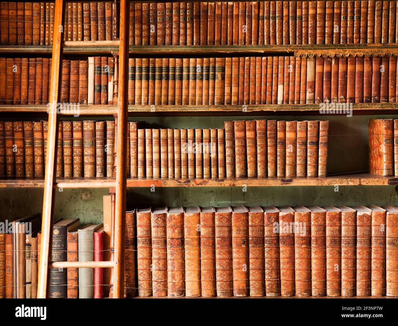 BRODSWORTH HALL, South Yorkshire. Interior view of the library. Detail ...