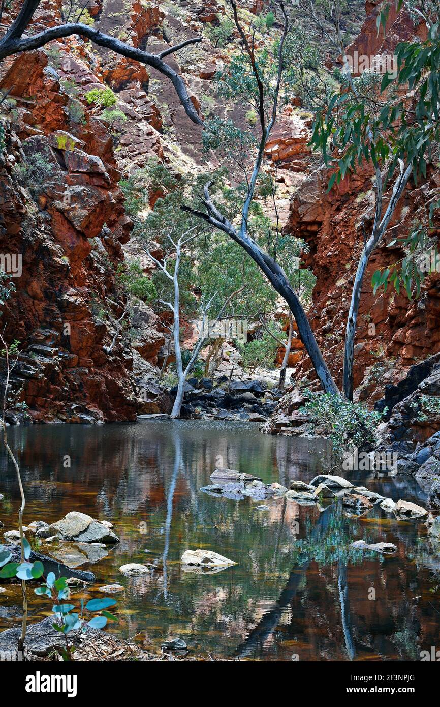 Australia, NT, waterhole in Serpentine Gorge in West McDonnell Range ...