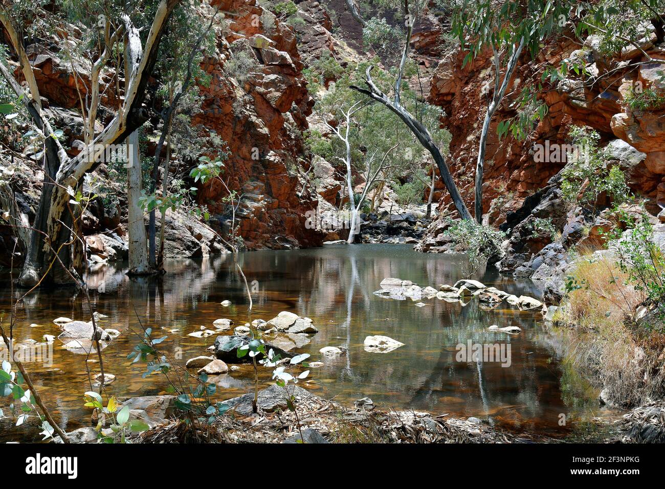 Australia, NT, waterhole in Serpentine Gorge in West McDonnell Range ...