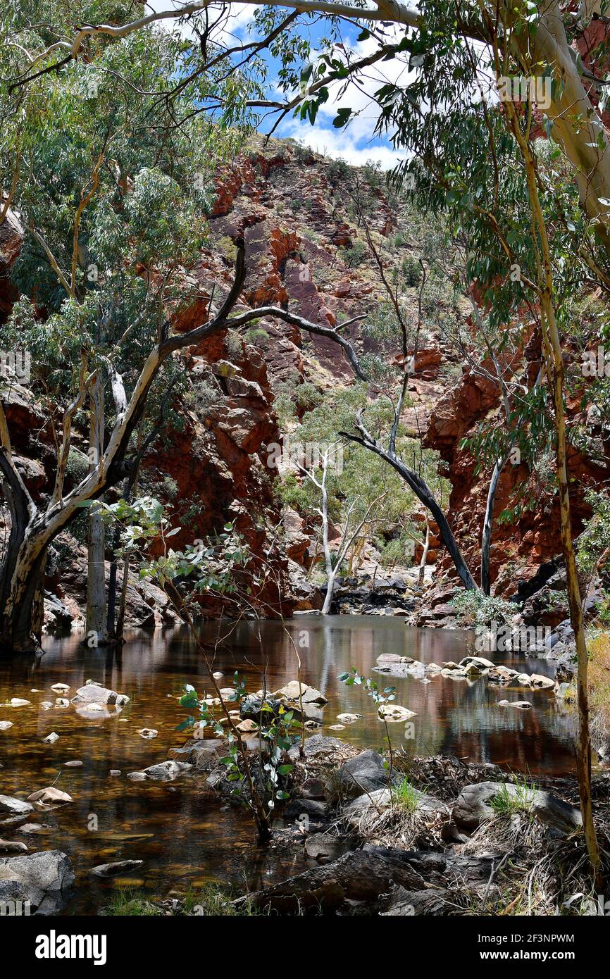 Australia, NT, waterhole in Serpentine Gorge in West McDonnell Range ...