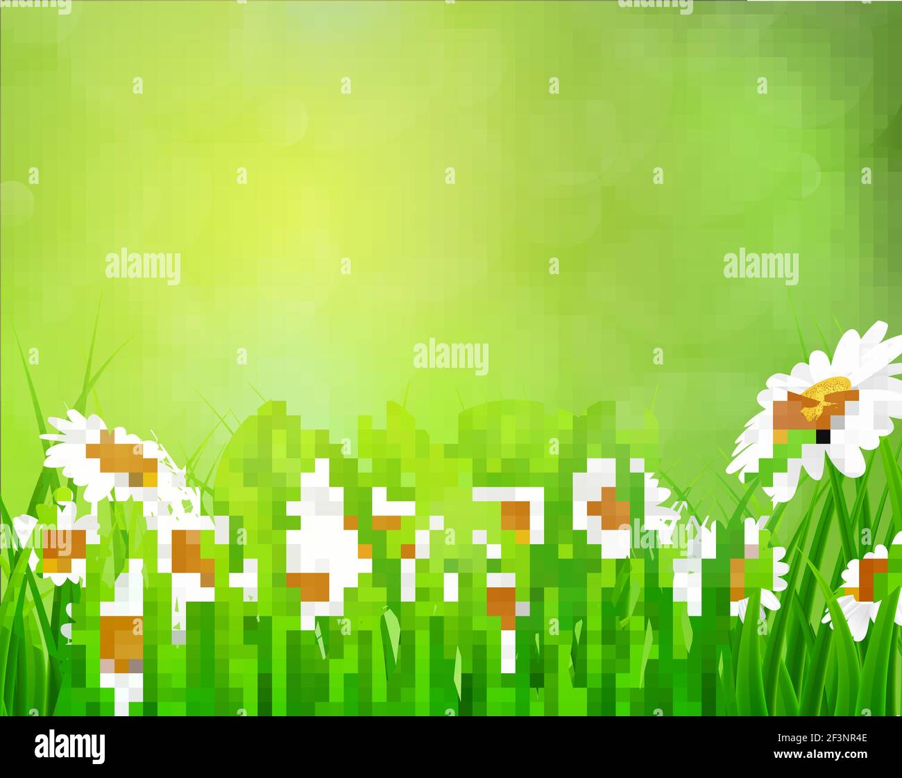 daisy vector background summer design Stock Vector Image & Art - Alamy