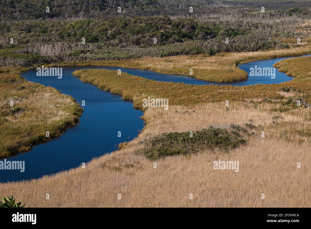 Darby River in Victoria in Australia Stock Photo - Alamy