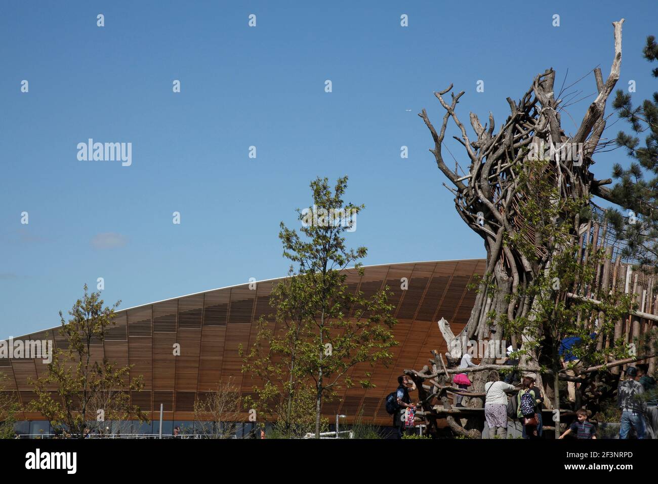 Timber climbing structure with velodrome beyond | Architect: Michael ...
