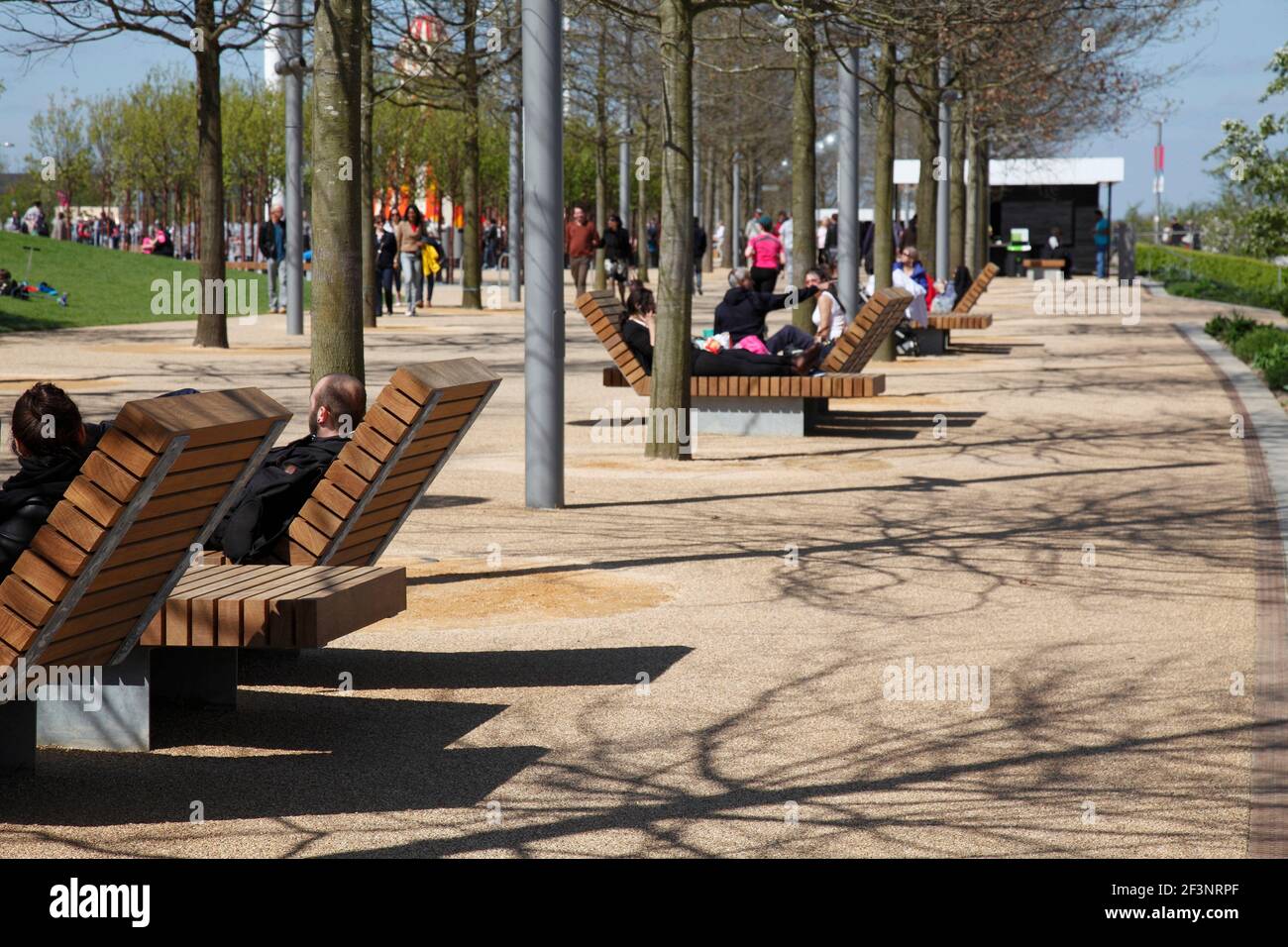 Row of reclining benches along avenue of trees Stock Photo - Alamy