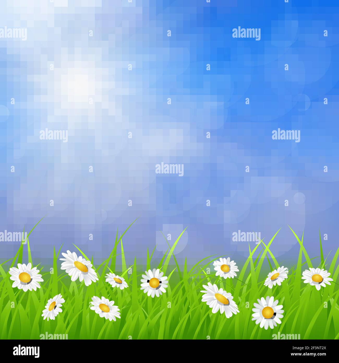 daisy vector background summer design Stock Vector Image & Art - Alamy