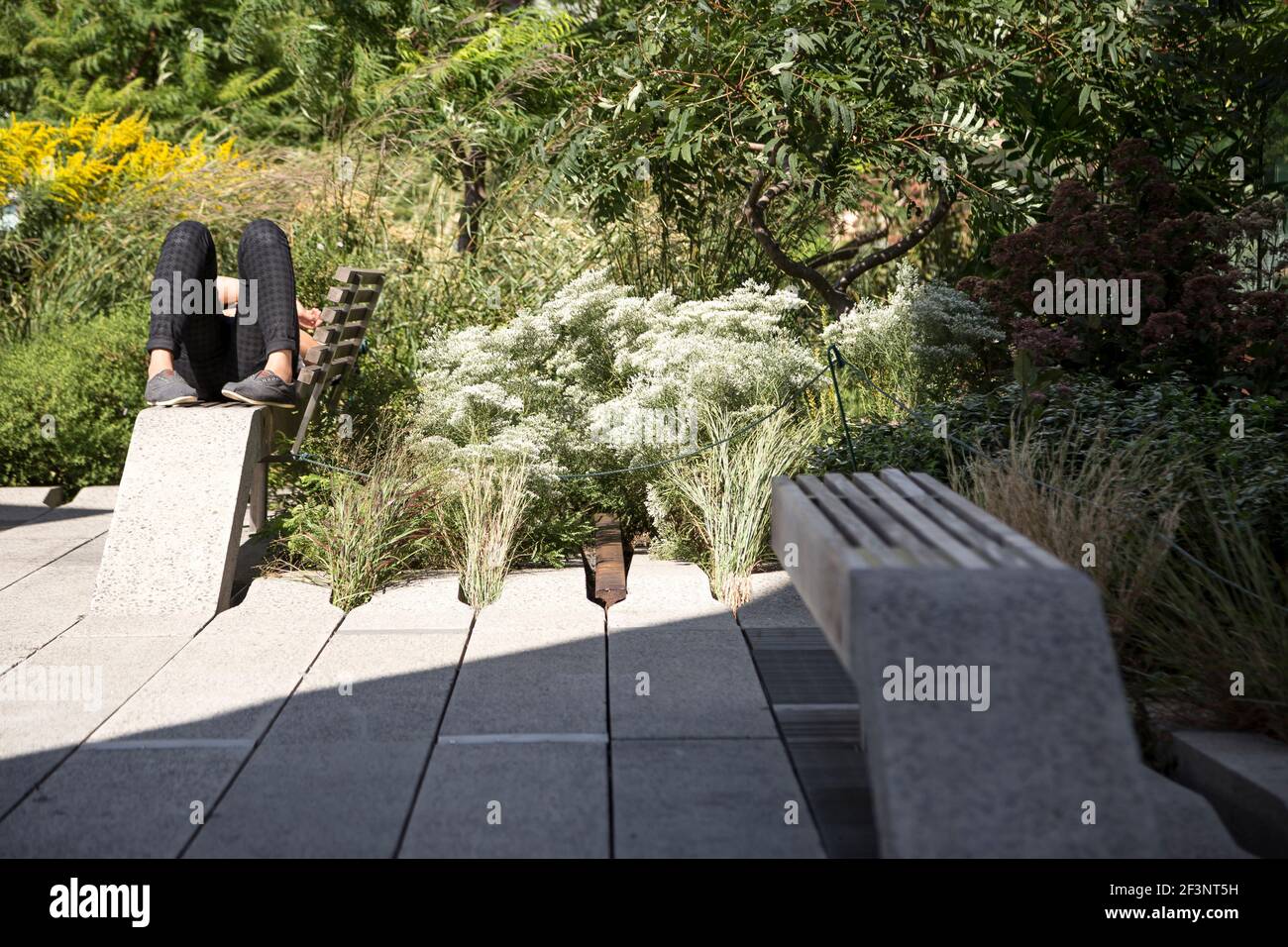 Benches and sun on the High Line in Manhattan Stock Photo - Alamy