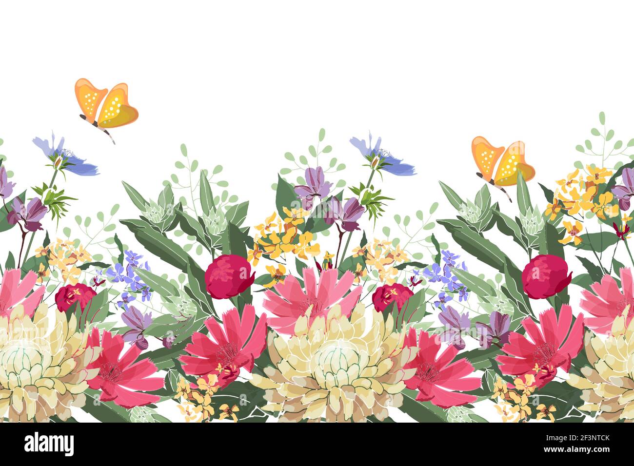 Summer Flower Border