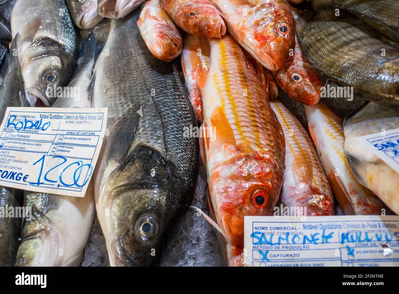 Varieties of fresh fish in market in Tavira, Algarve Portugal Stock ...