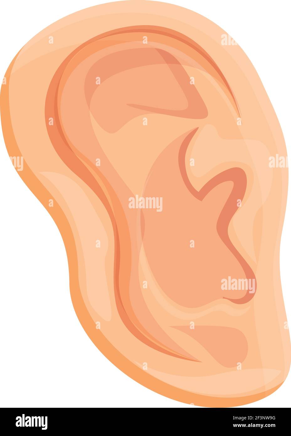 Ear body organ icon. Cartoon of ear body organ vector icon for web ...