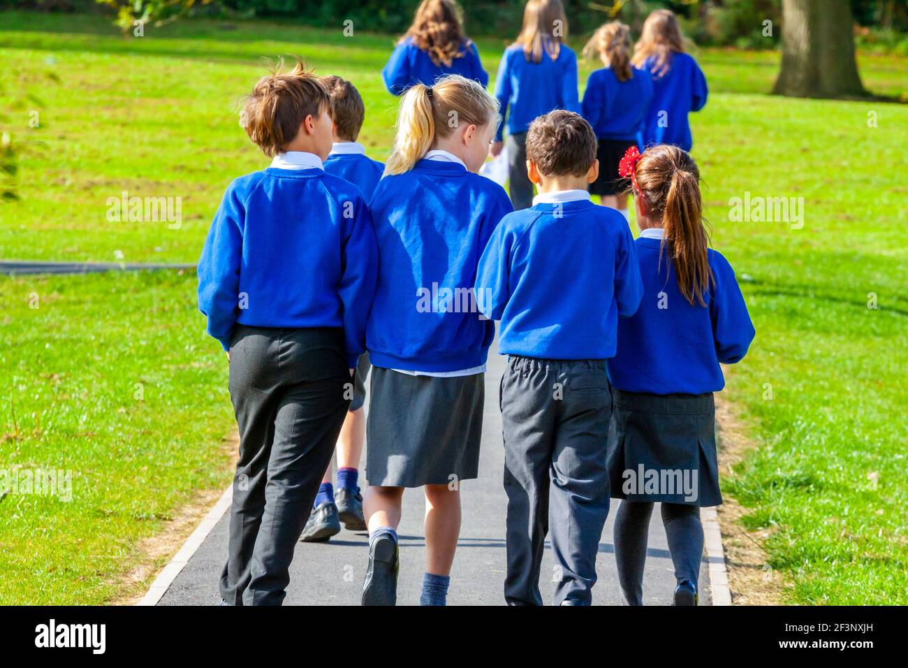 Boy girl school lunch hi-res stock photography and images - Alamy