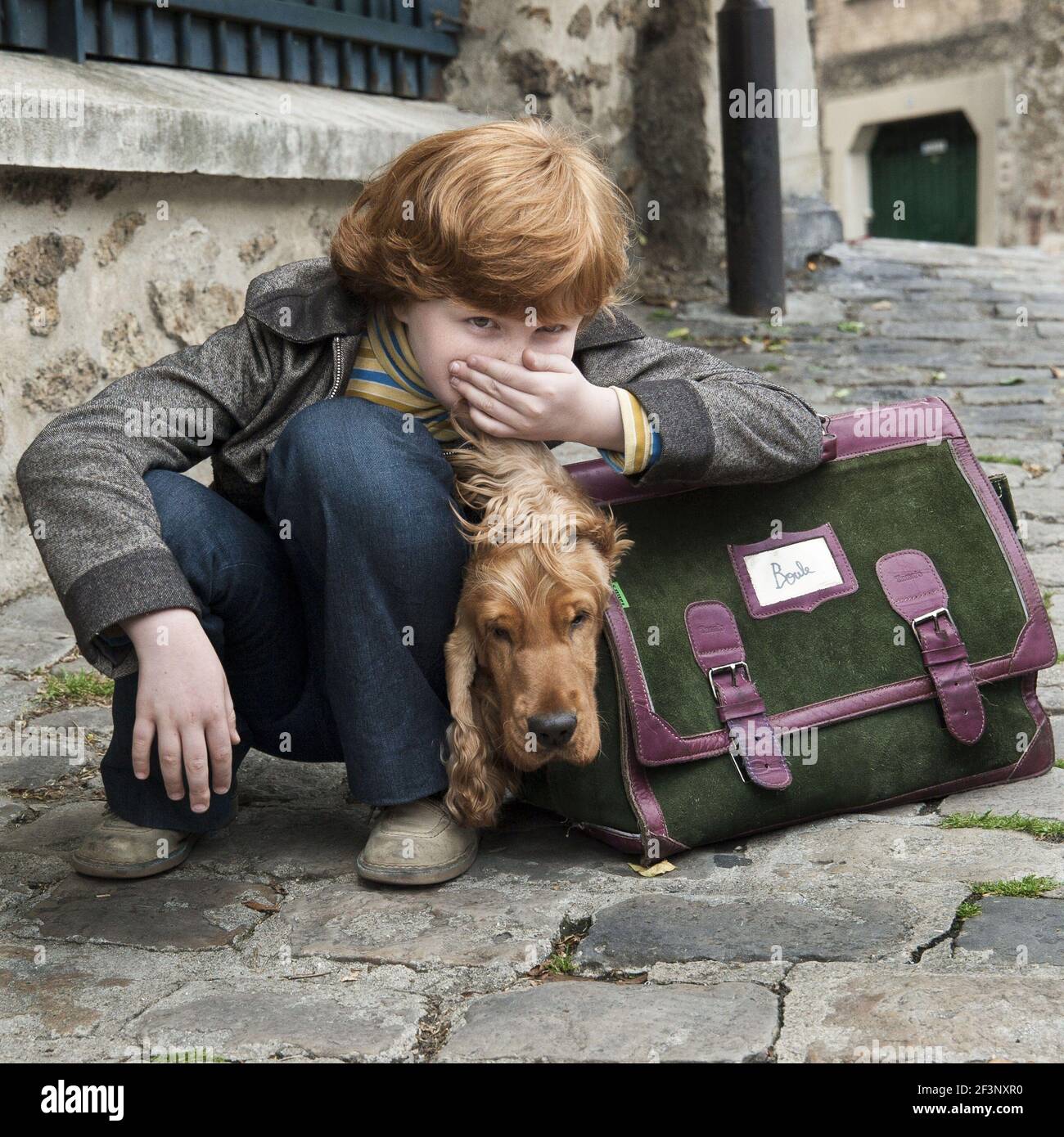 Boule dog hi-res stock photography and images - Alamy