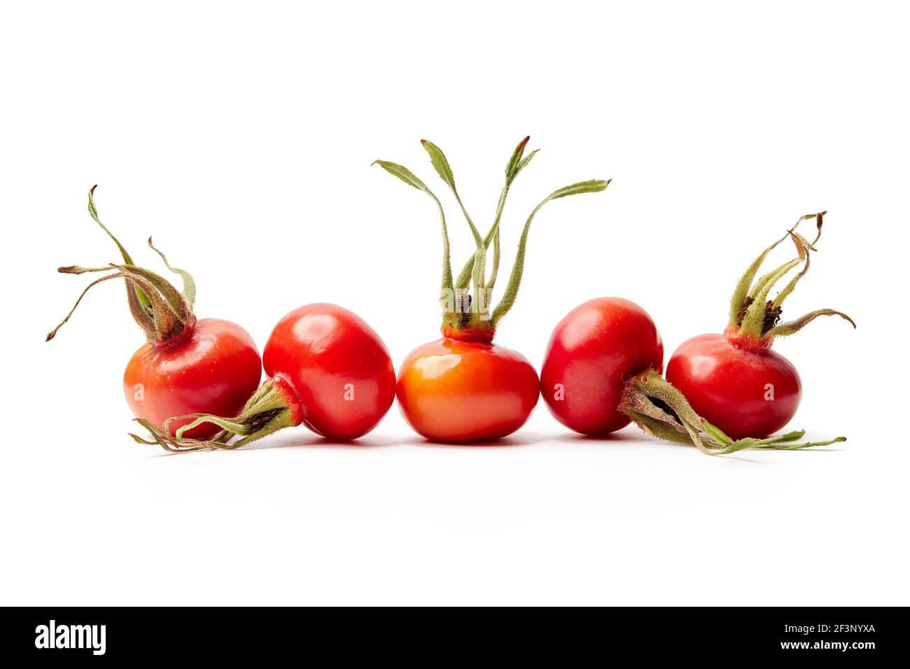 Rose hips from Rosa Rugosa on white background Stock Photo - Alamy