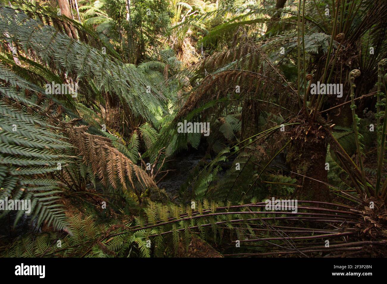 Junee cave hi-res stock photography and images - Alamy
