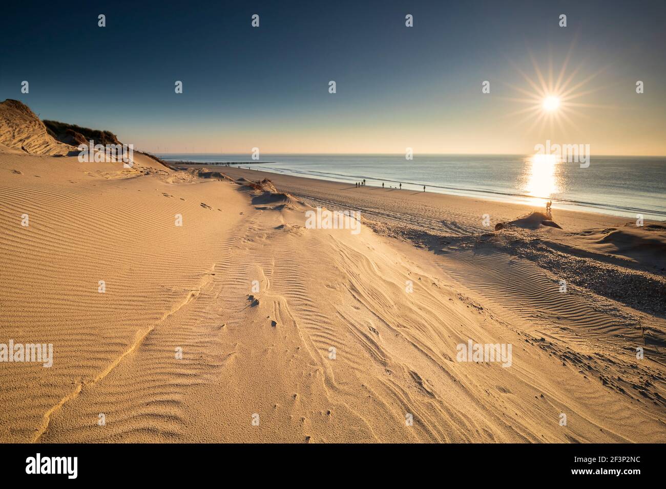 view from dune top on North sea beach at sunset, Holland Stock Photo ...