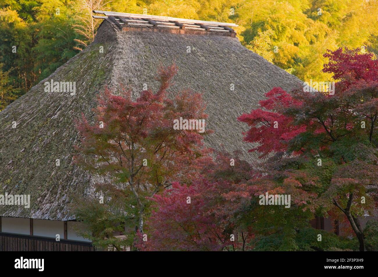 An autumn afternoon view shows the steep thatched roof of Jikishi-An, a ...
