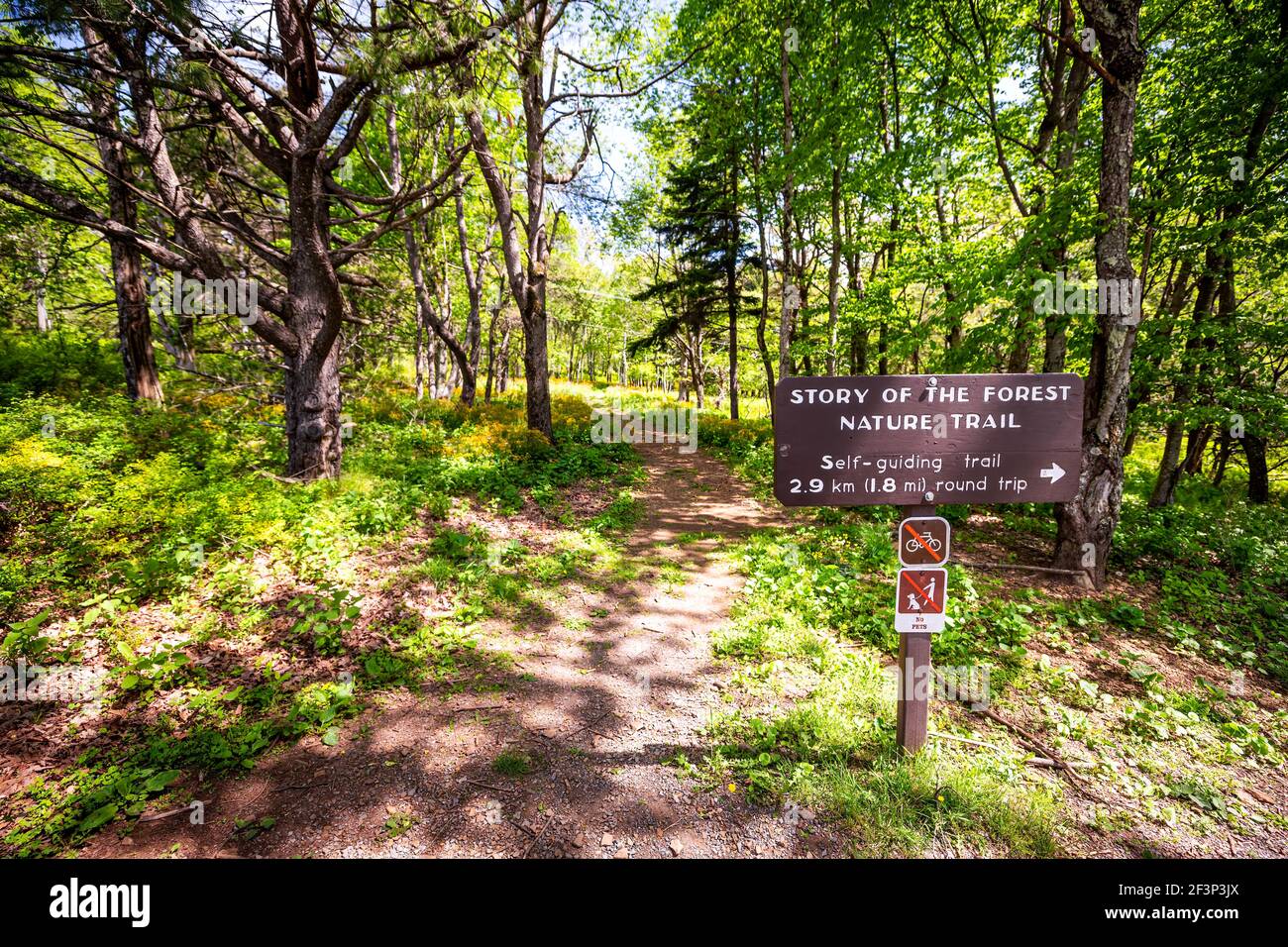 Road with direction sign in Shenandoah Blue Ridge Appalachian mountains ...