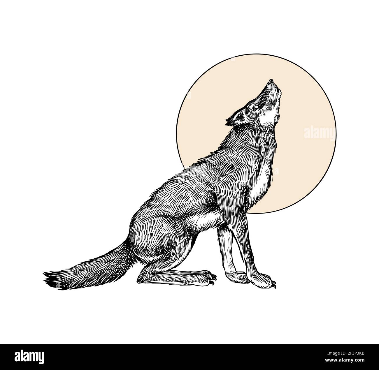 Gray Wolf Howling Drawing