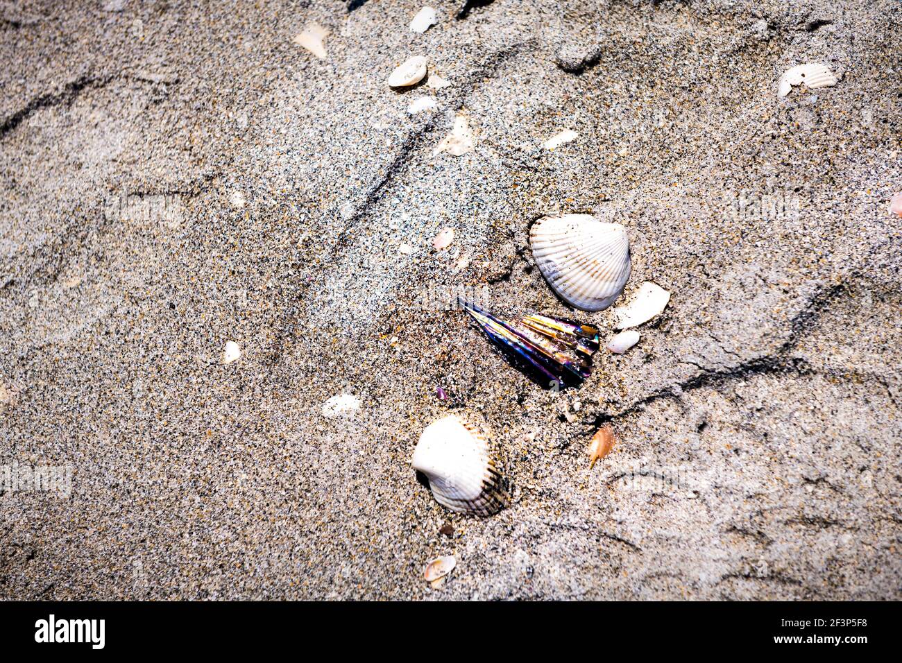 Flat lay top high angle view on many broken seashells sea shells ...