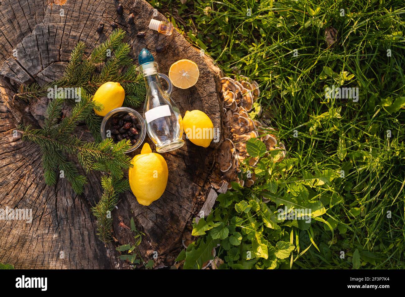 Top photo of natural, ecological hemp-based cleaning products. Natural ...