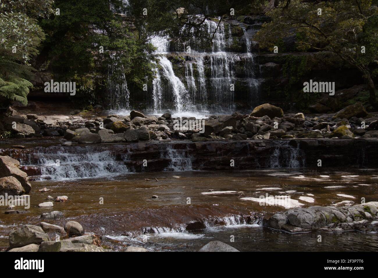 Liffey falls state reserve tasmania hi-res stock photography and images ...