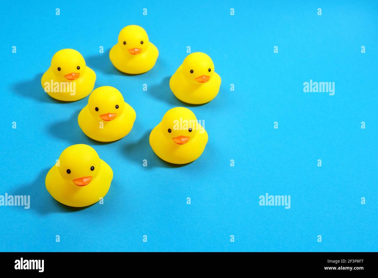 rubber ducks. Plastic ducklings ready for child's fun in the bath. play ...