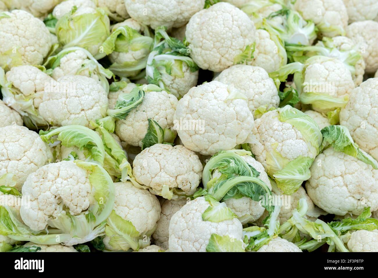 Cauliflower inflorescence. Vintage of cauliflower. background texture ...