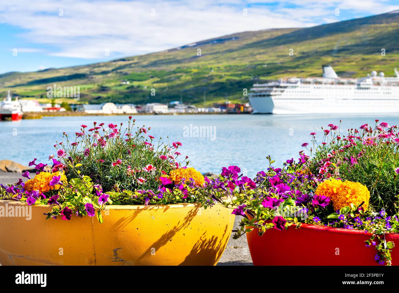 Akureyri whale hi-res stock photography and images - Alamy