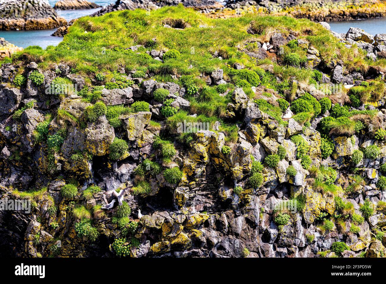 Rock arch gatklettur on coast hi-res stock photography and images - Alamy
