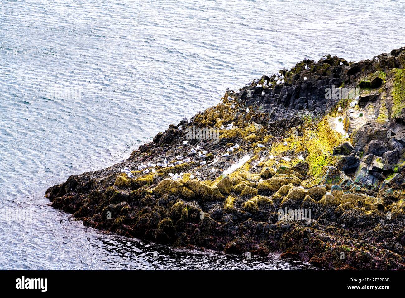 Aerial view hellnar snaefellsnes iceland hi-res stock photography and ...