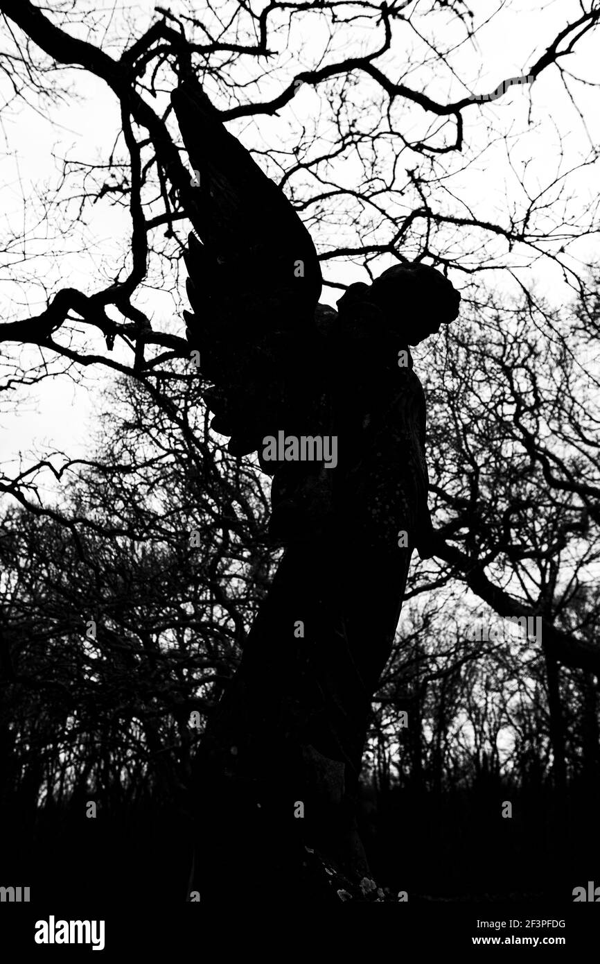 Angel in the garden Black and White Stock Photos & Images - Alamy