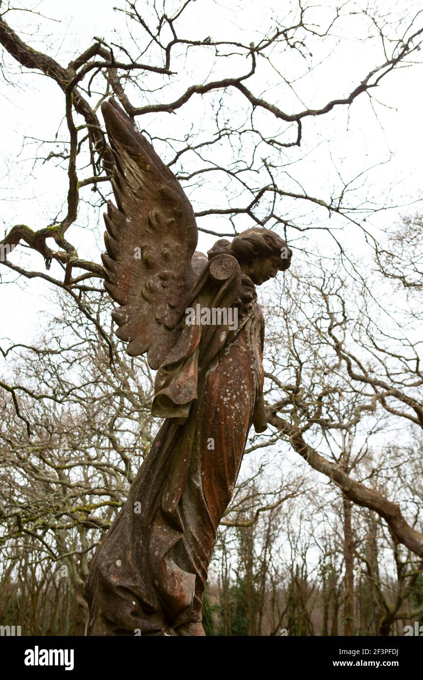 Stone angel with tree branches Stock Photo - Alamy