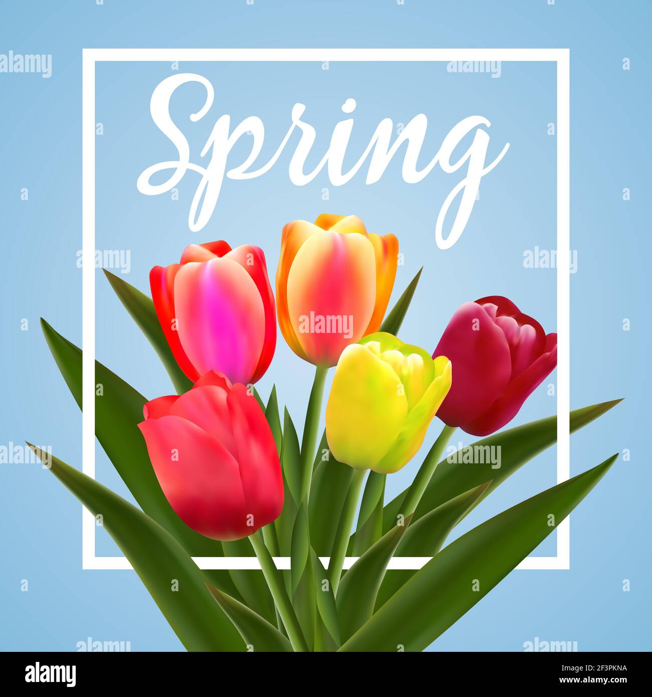 Spring gift voucher text Stock Vector Images - Alamy
