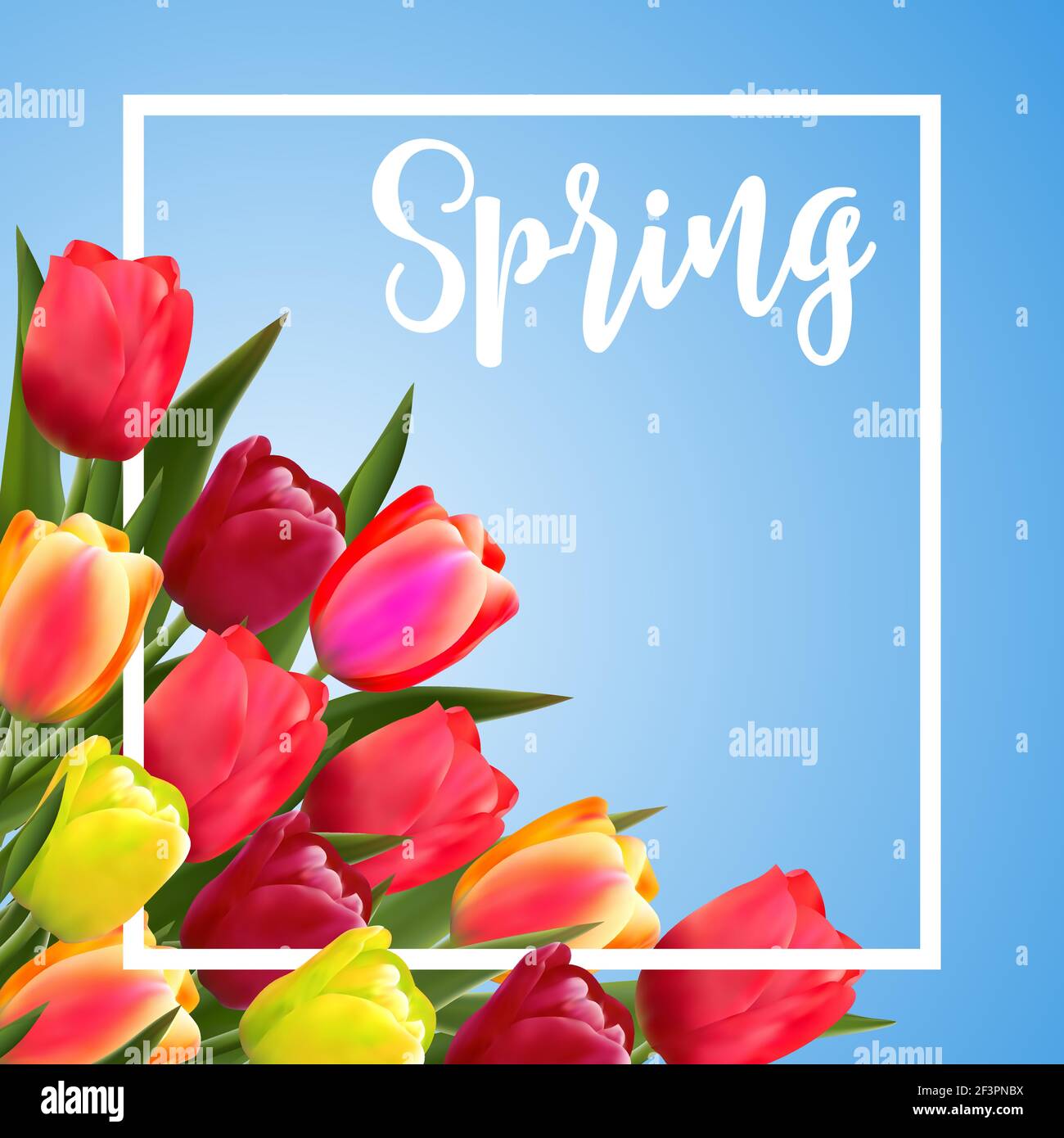 Spring gift voucher text Stock Vector Images - Alamy