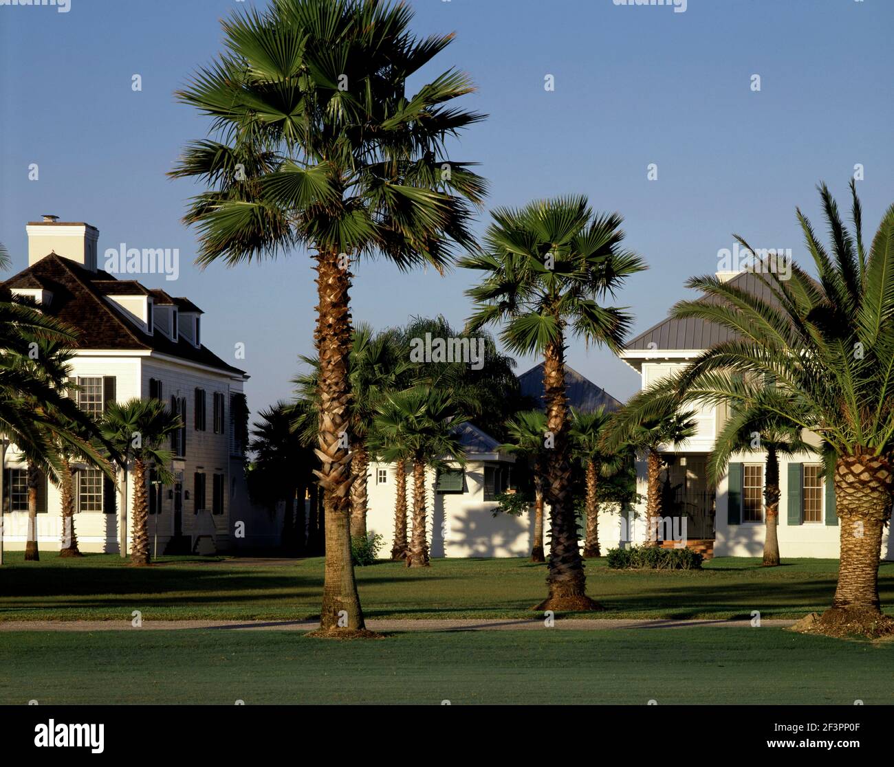 Havier iglesias hi-res stock photography and images - Alamy