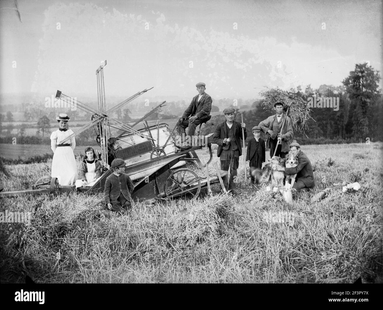 Edwardian farming hi-res stock photography and images - Alamy