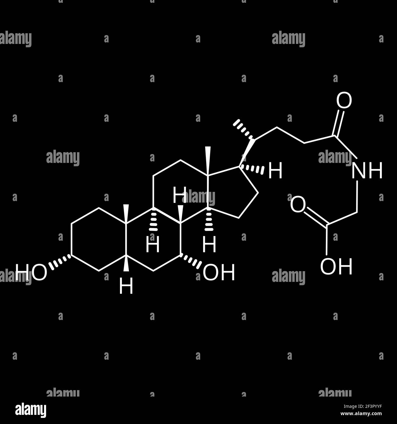 Liver bile ducts Black and White Stock Photos & Images - Alamy
