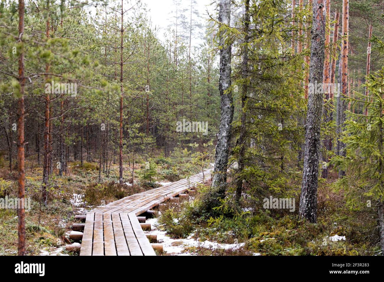 Contour pathway hi-res stock photography and images - Alamy
