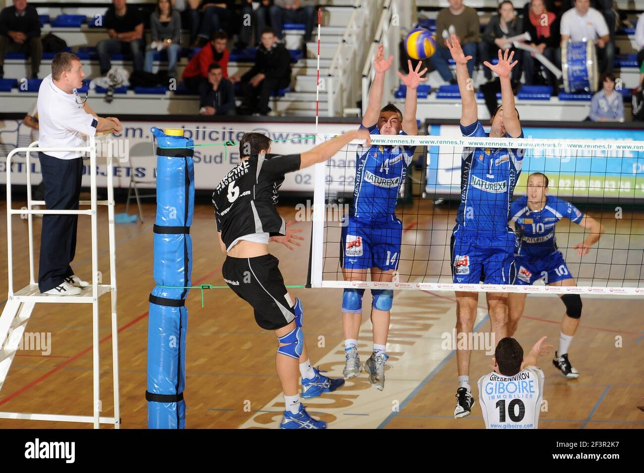 Pupart hi-res stock photography and images - Alamy