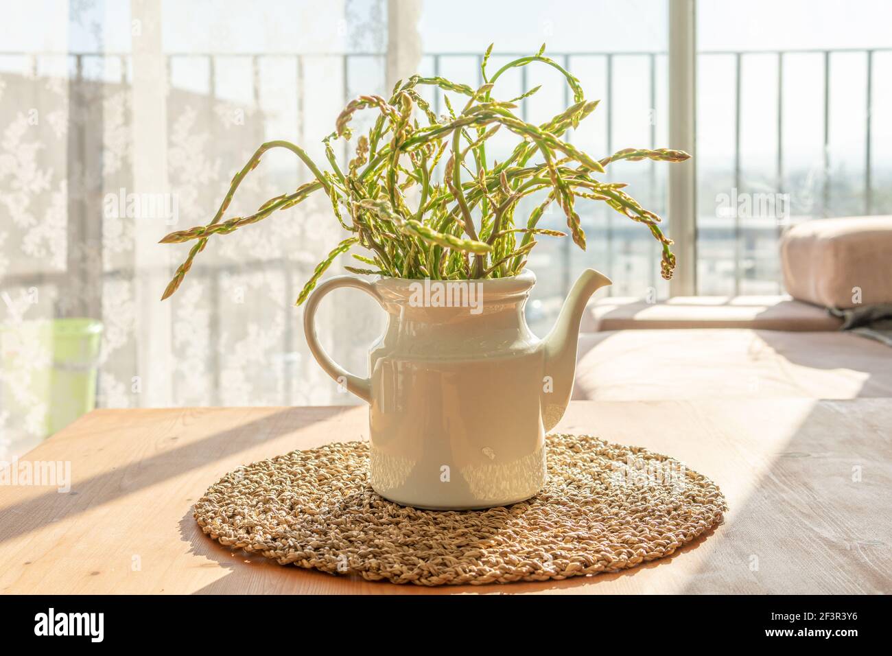 Wild green asparagus (Asparagus officinallis) in a white porcelain bowl ...