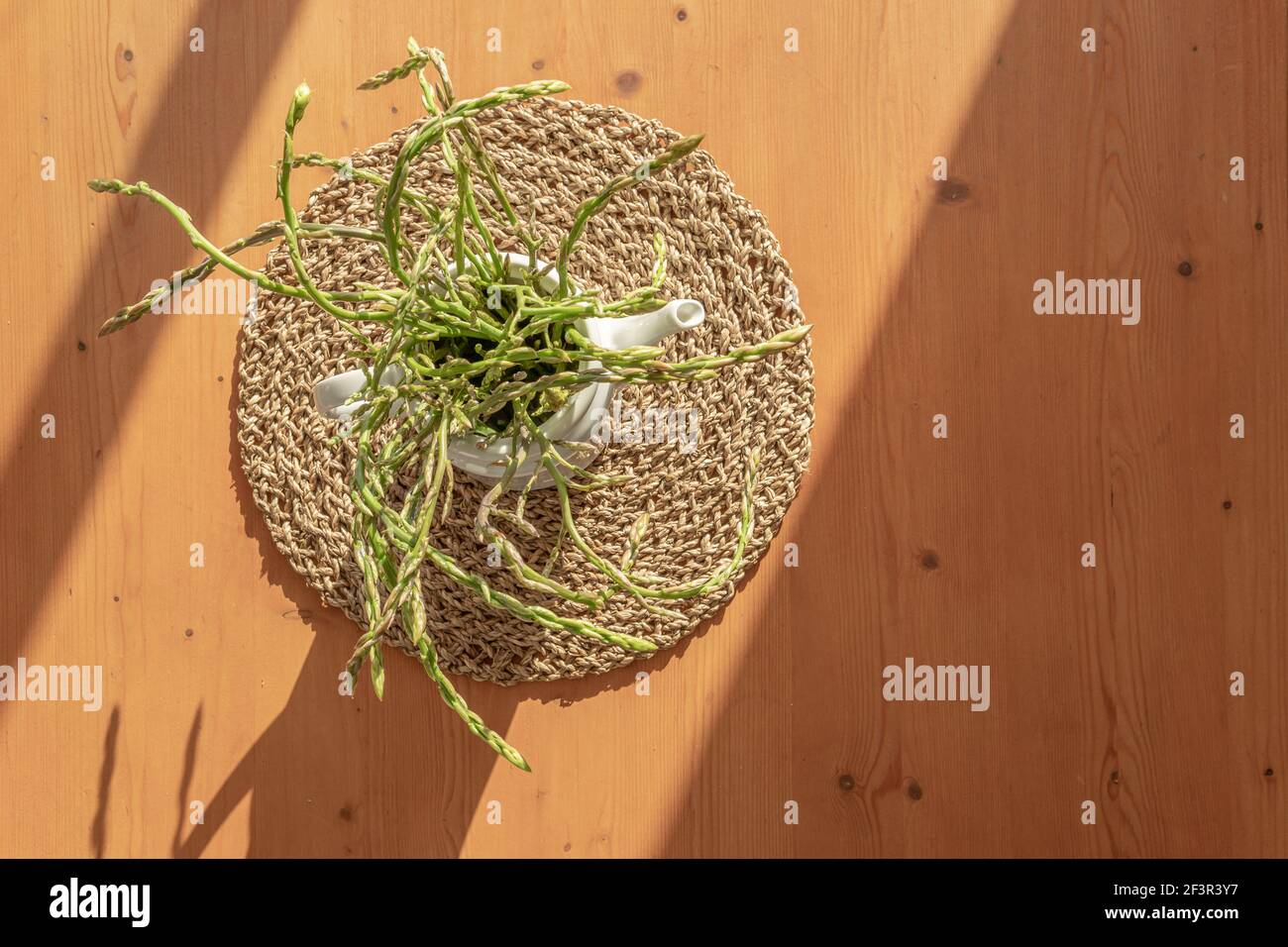 Wild green asparagus (Asparagus officinallis) in a white porcelain bowl ...