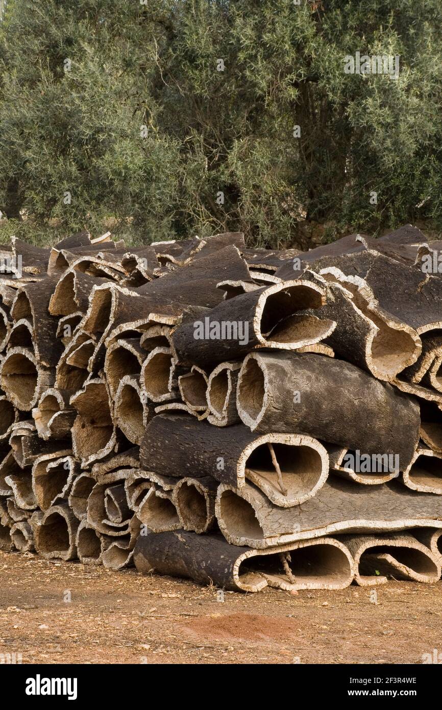 Piled cork tree bark, used to make wine corks in Cork Centre in the ...