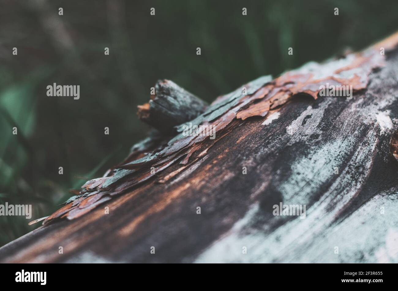 Colourful texture hi-res stock photography and images - Alamy