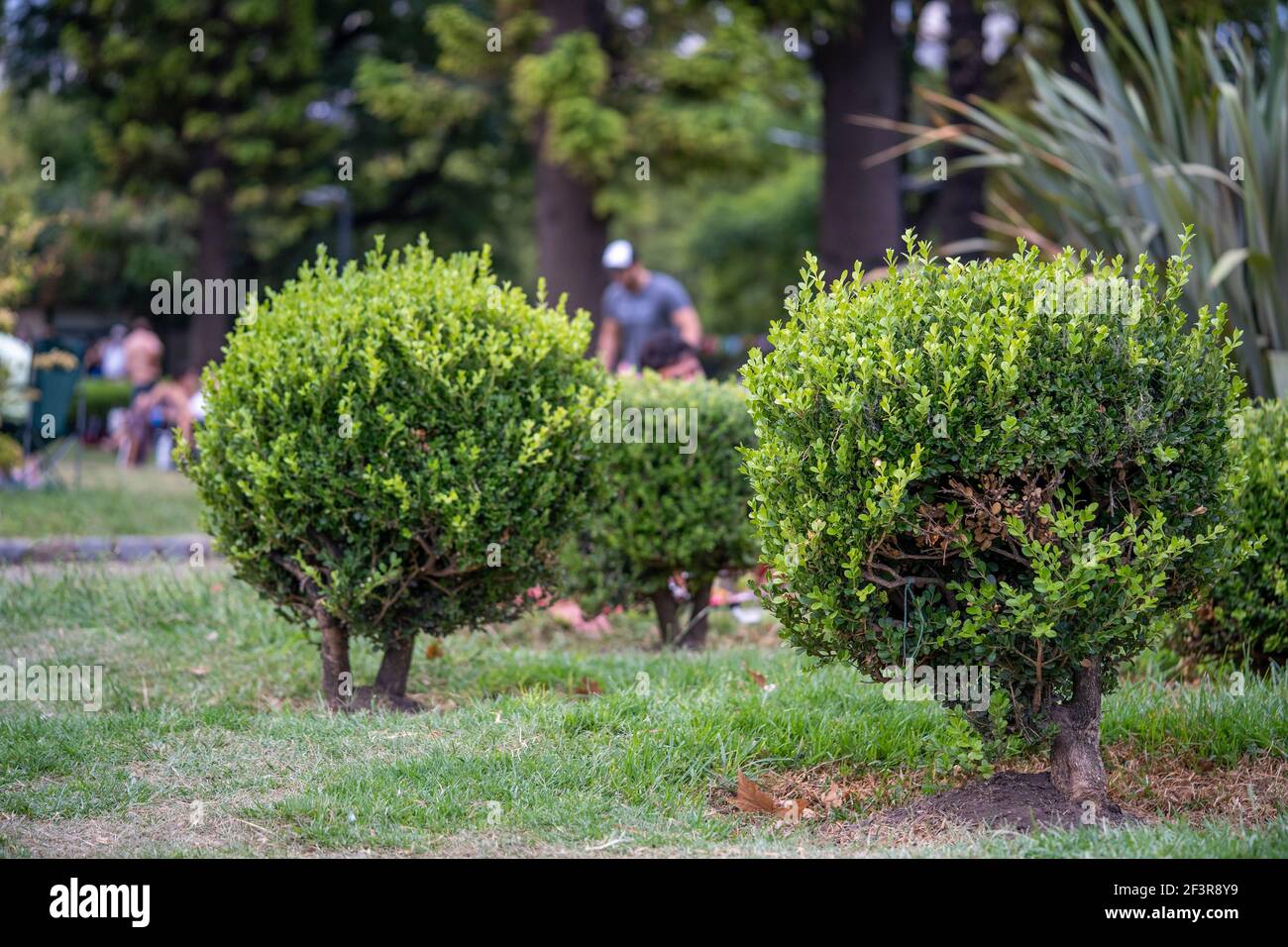 Decorative round hi-res stock photography and images - Alamy
