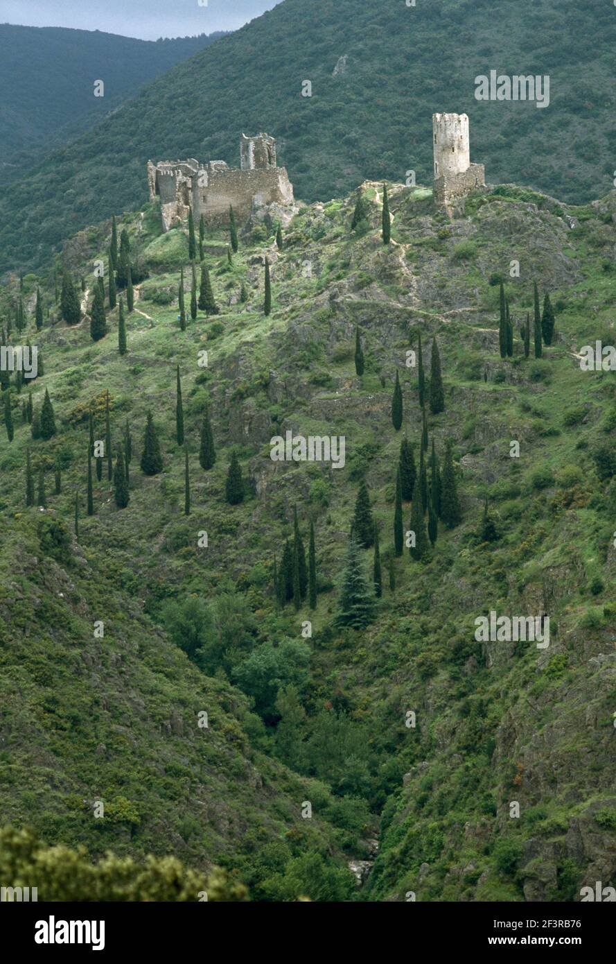 Ruins of the Cathar Castle of Lastours, with cypress trees and steep ...