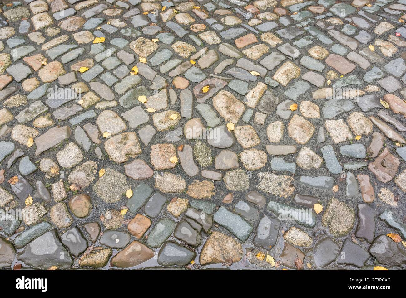 Medieval Stone Floor Texture