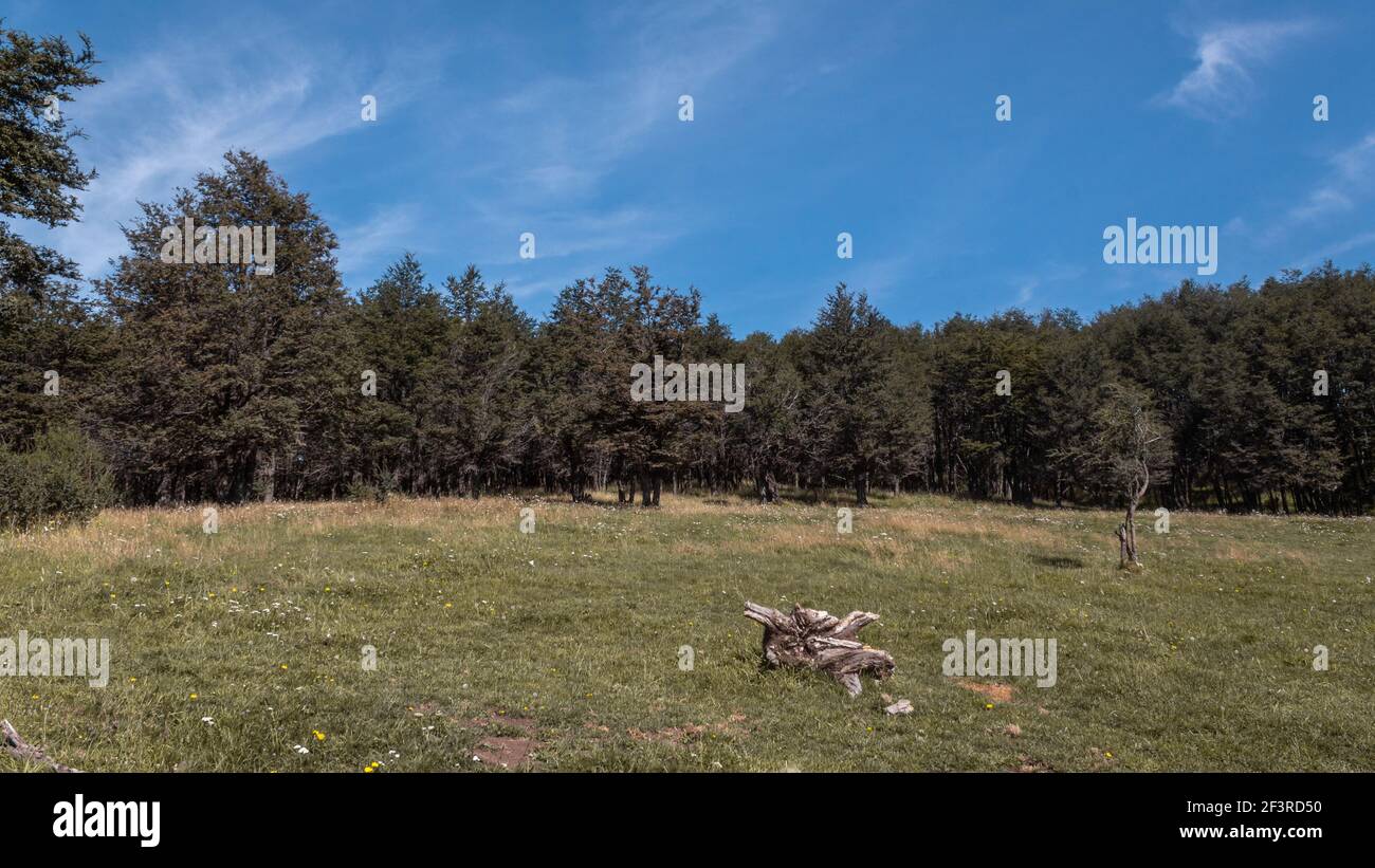 A beautiful view of a landscape with Cerro Mackay mountain and Rio ...