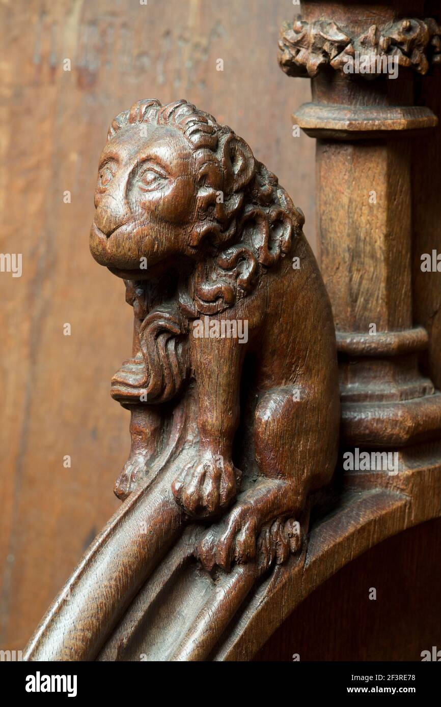 Detail of wooden lion in choir stalls of church, Cologne, Germany Stock ...