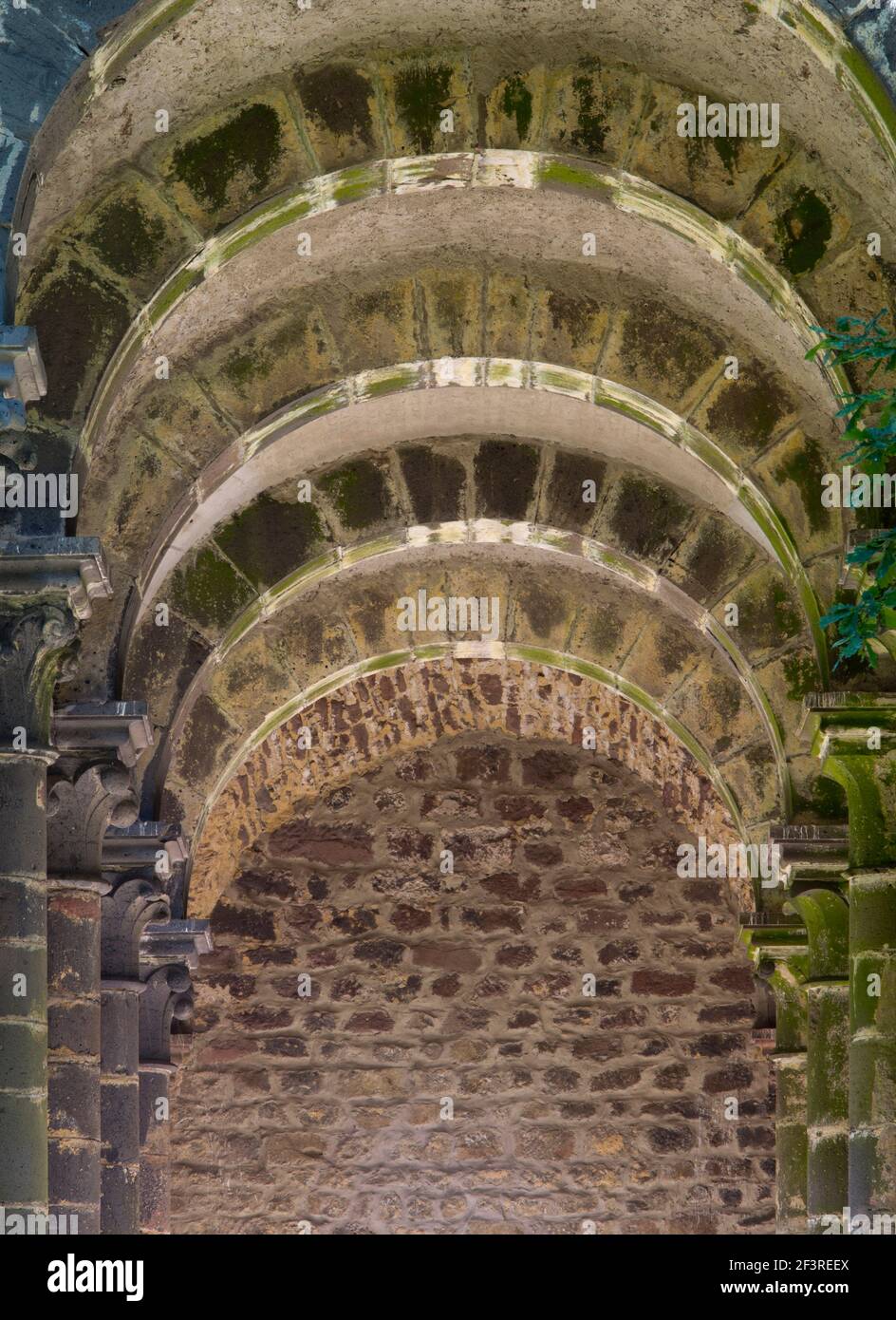 Arched roof of nave in ruins of Arnsburg Abbey, Lich, Hesse, Germany ...