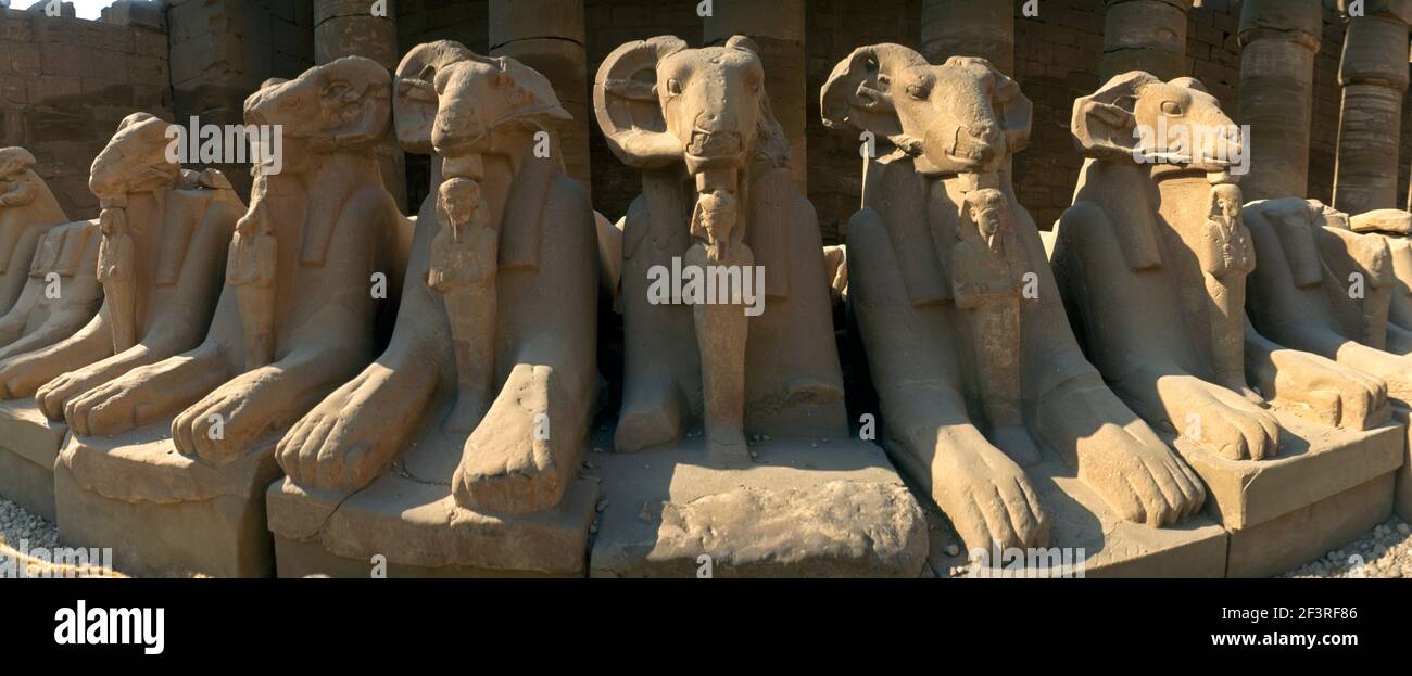 Karnak Temple Complex Egypt Avenue of Ram-Headed Sphinxes the Ram ...